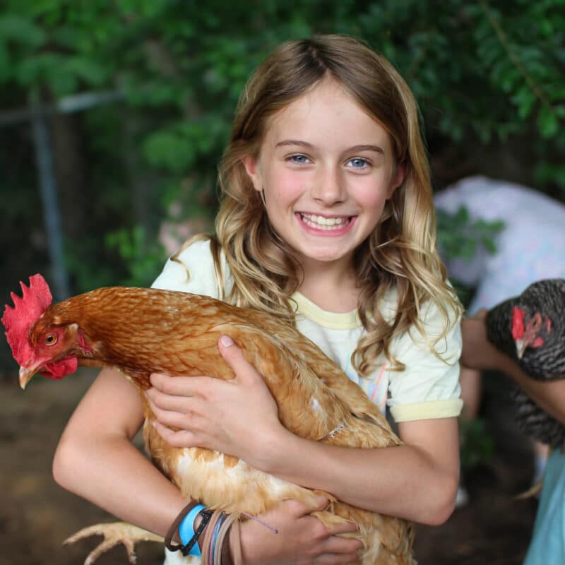 Hug a Chicken | Rockbrook Summer Camp for Girls